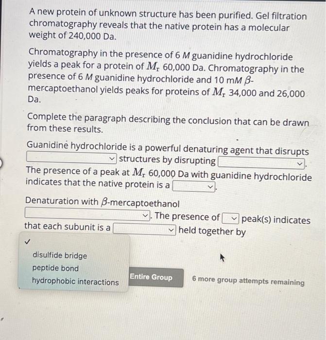 Solved A new protein of unknown structure has been purified. | Chegg.com