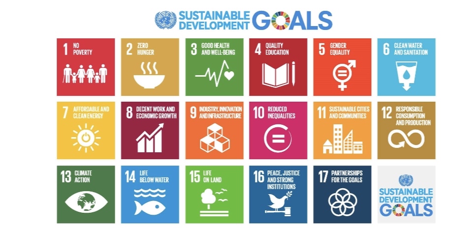 Solved 17 ﻿UN SDG (United Nations Sustainable Development | Chegg.com