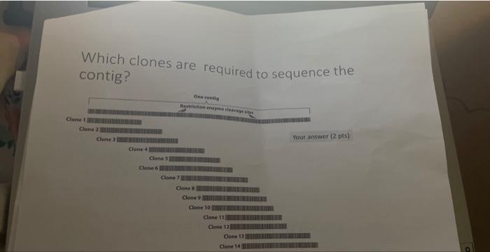 Which clones are required to sequence the contig? | Chegg.com