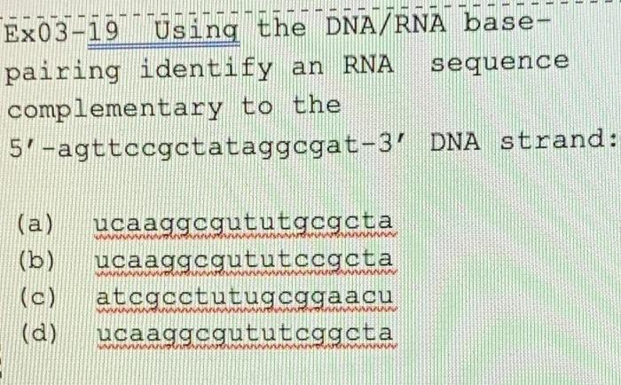 Solved Ex03-19 Using the DNA/RNA base- pairing identify an | Chegg.com