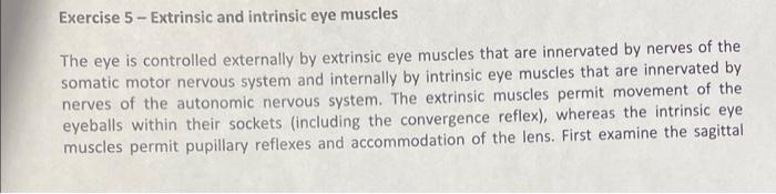Solved Exercise 5 - Extrinsic and intrinsic eye muscles The | Chegg.com