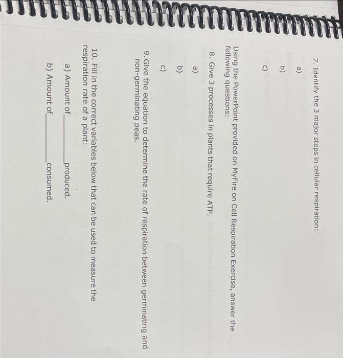 PHOTOSYNTHESIS AND CELLULAR RESPIRATION (POST-LAB | Chegg.com