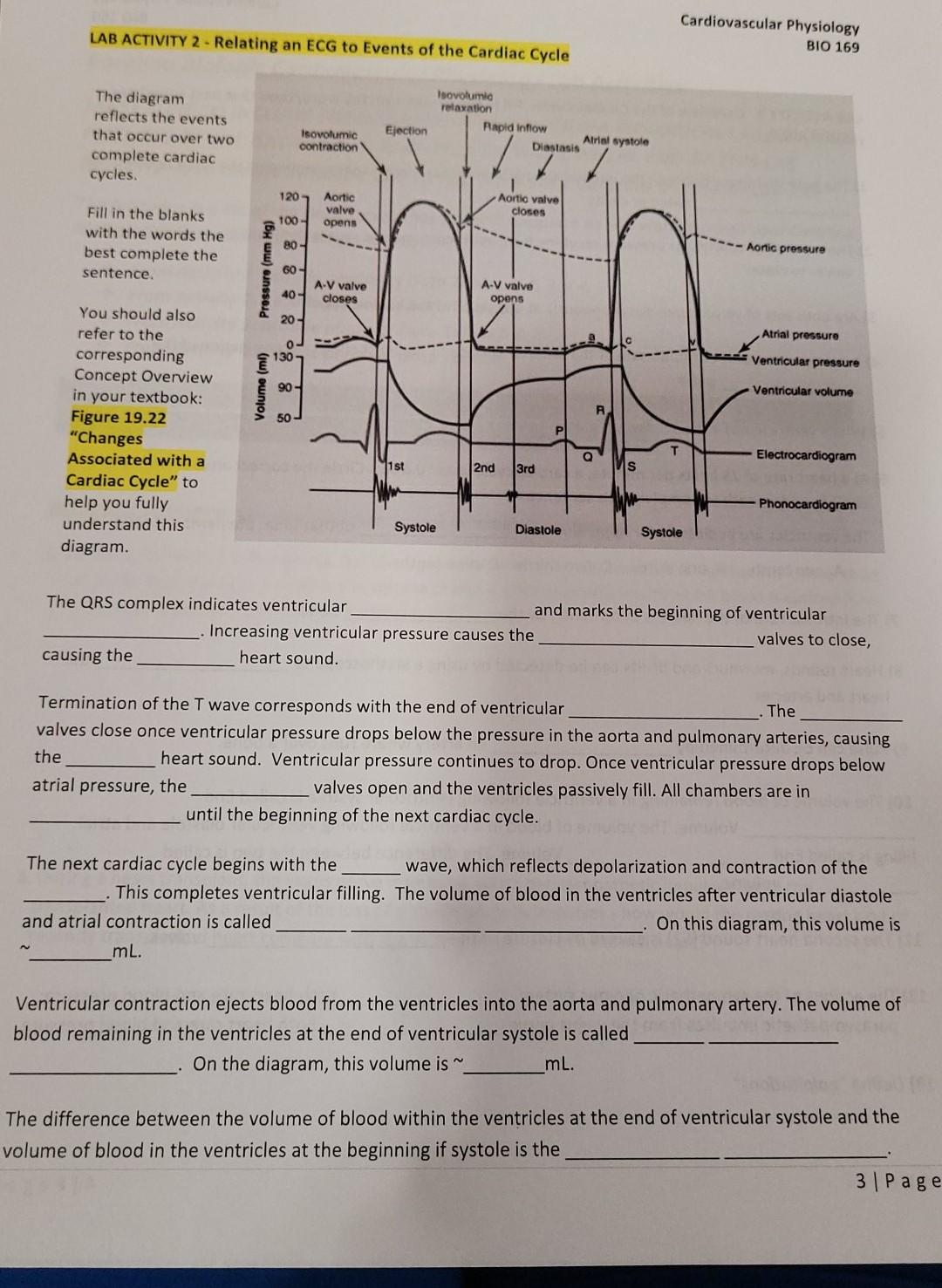 Solved Lab Activity 1- Intrinsic Cardiac Conduction System | Chegg.com