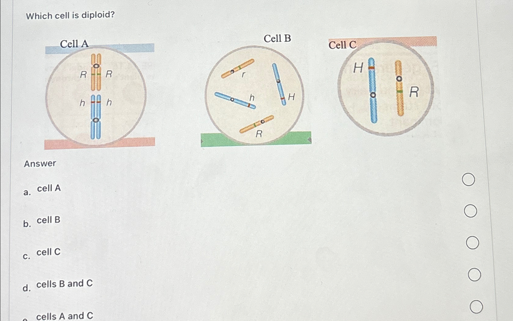 Which cell is diploid?Answera. ﻿cell Ab. ﻿cell Bc. | Chegg.com