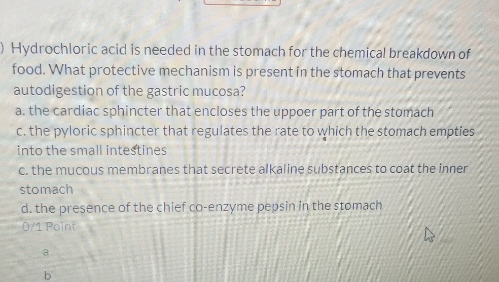 Solved ) Hydrochloric acid is needed in the stomach for the | Chegg.com