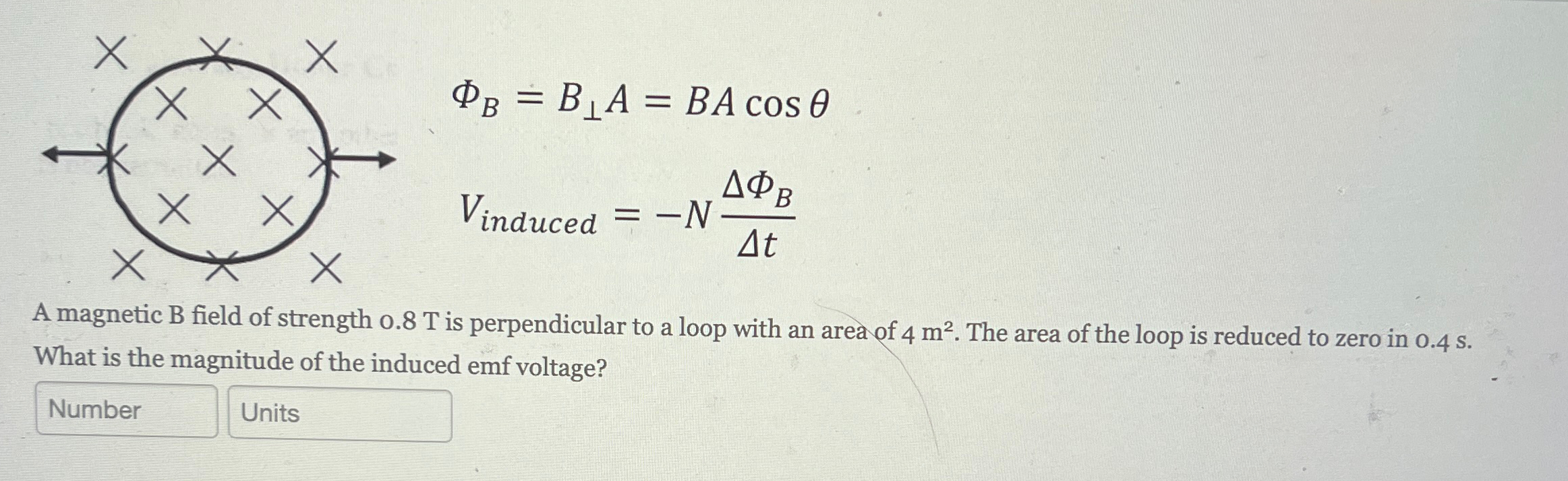 Solved A magnetic B field of strength 0.8T ﻿is perpendicular | Chegg.com