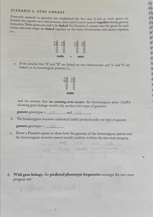 Solved SCENARIO 2: GENE LINKAGE Extensive research in | Chegg.com