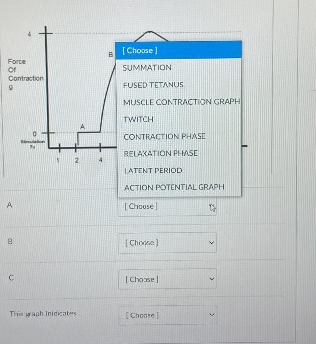 Solved MATCH based on the given graph. B Force Of | Chegg.com