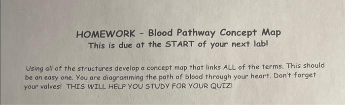 Solved HOMEWORK - Blood Pathway Concept Map This is due at | Chegg.com