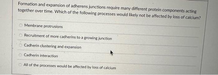Solved Formation and expansion of adherens junctions require | Chegg.com