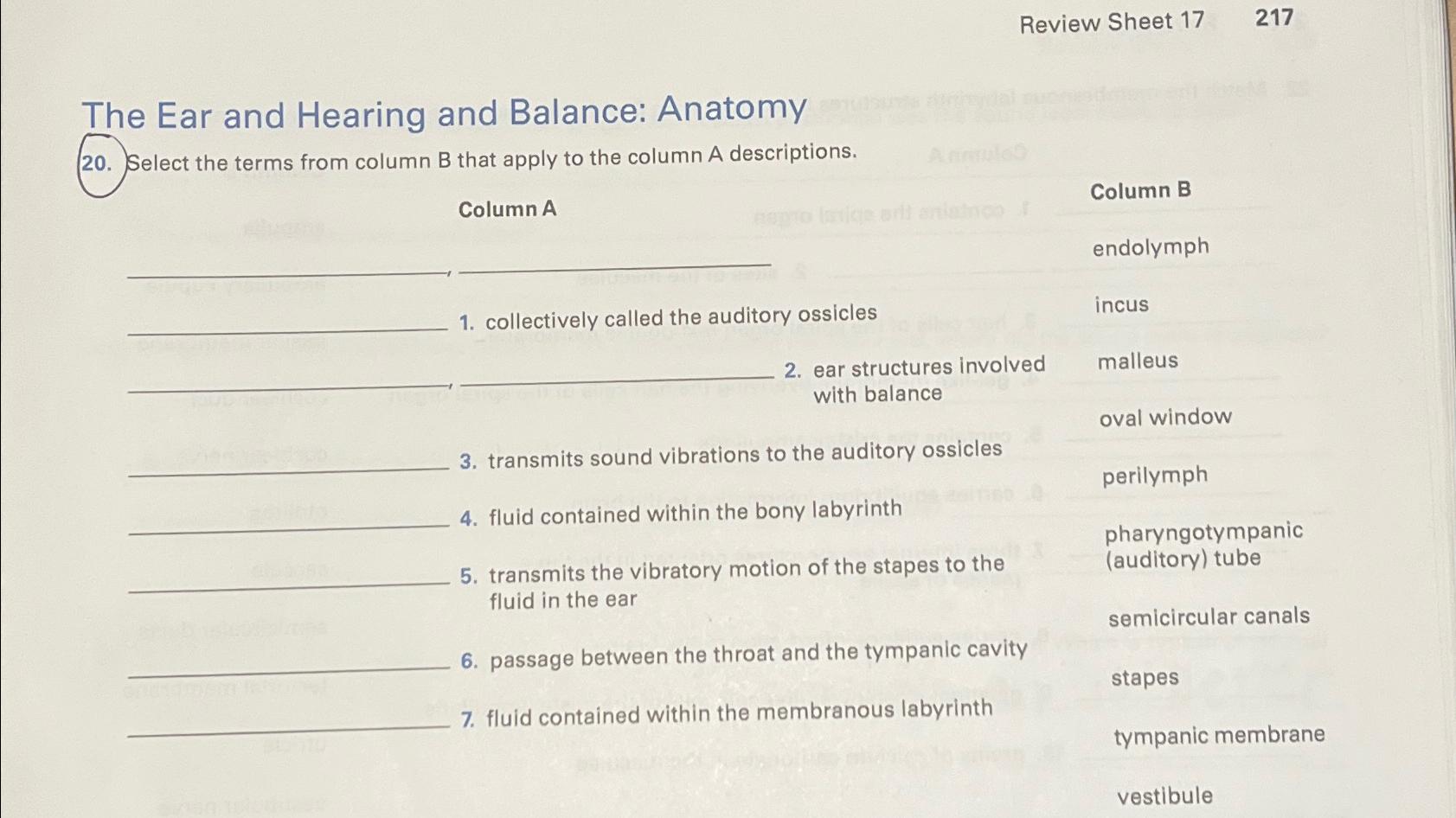 Solved Review Sheet 17217The Ear and Hearing and Balance: | Chegg.com