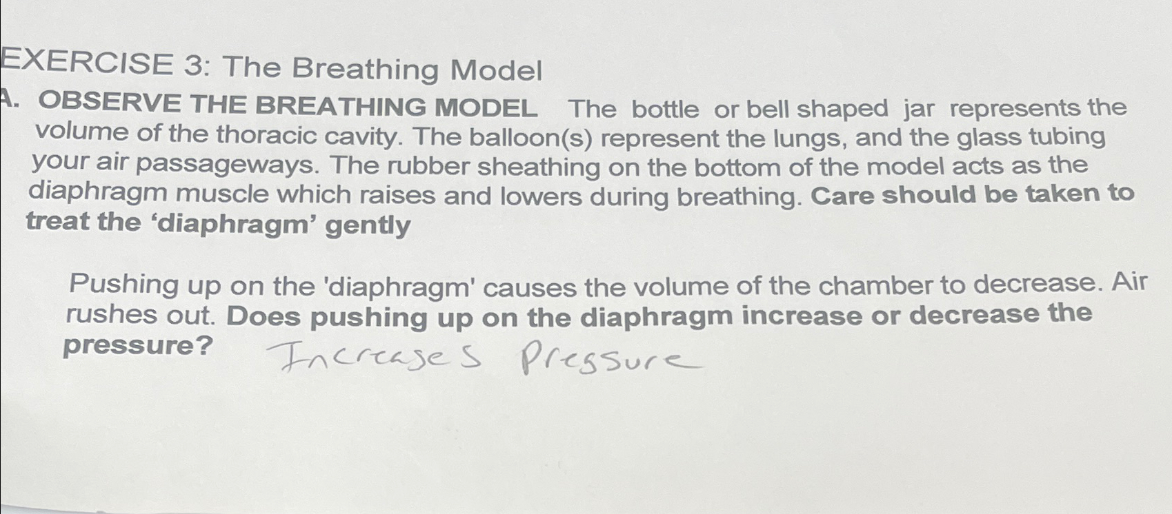 Solved EXERCISE 3: The Breathing ModelA. ﻿OBSERVE THE | Chegg.com