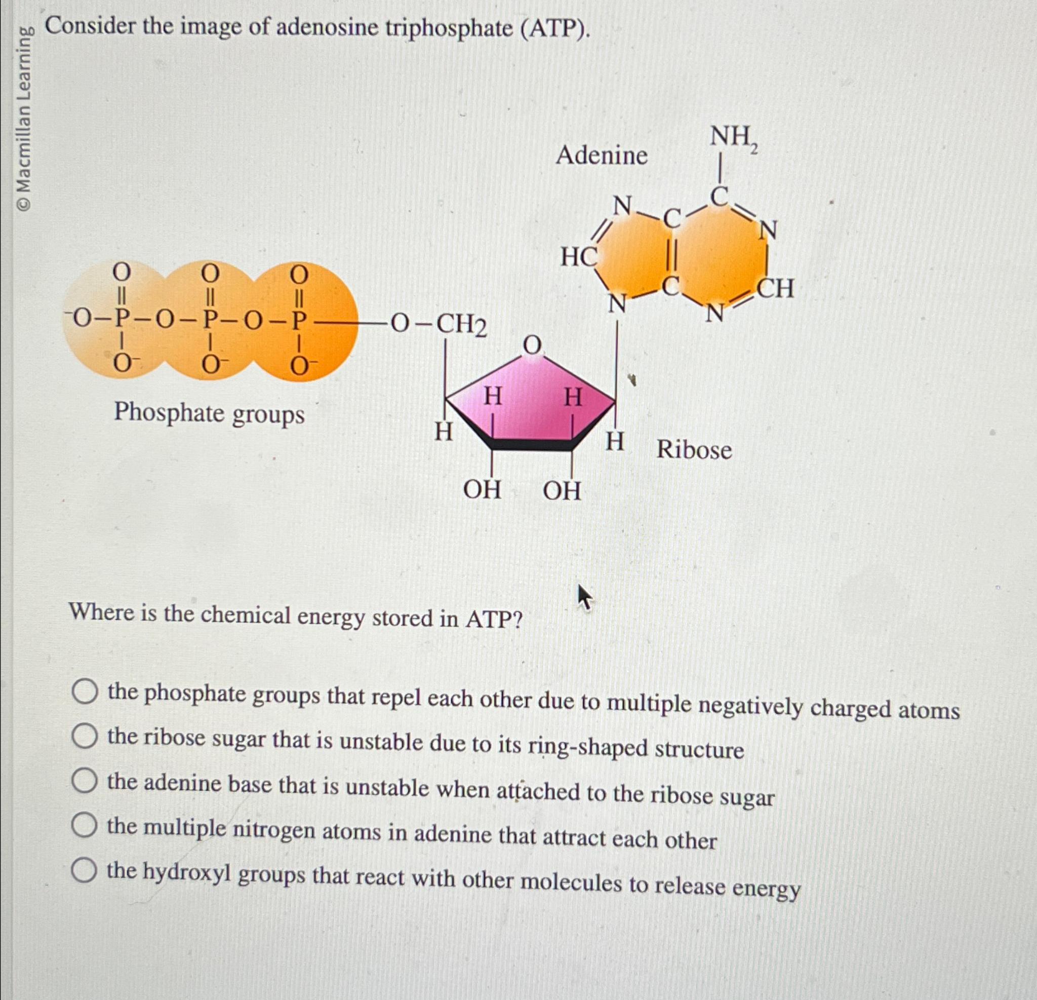 Solved Consider the image of adenosine triphosphate | Chegg.com