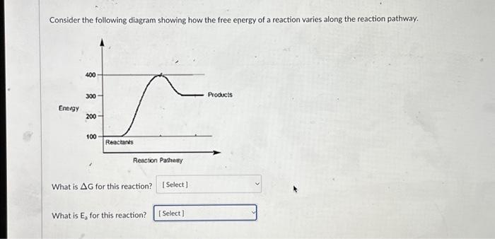 Solved Consider the following diagram showing how the free | Chegg.com