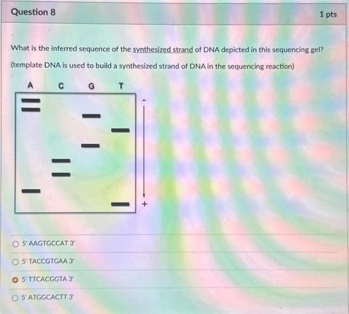 Solved What is the inferred sequence of the synthesized | Chegg.com