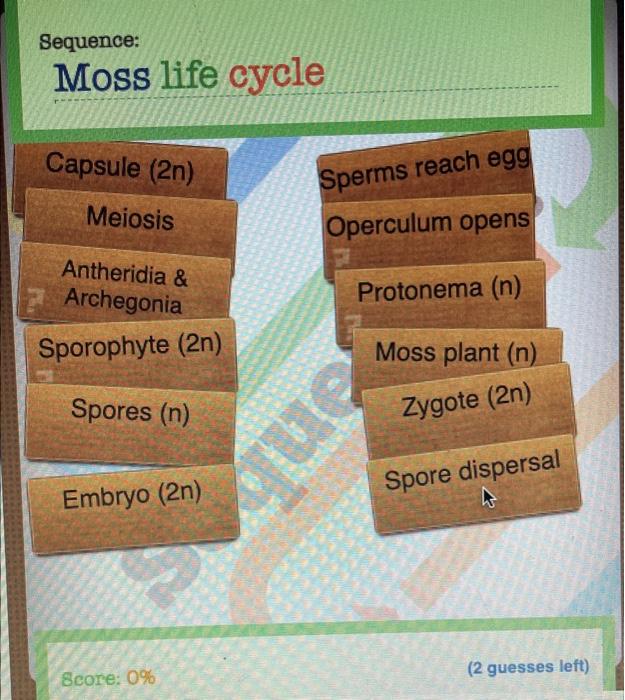 Solved Sequence: Moss life cycle \begin{tabular}{|c|c|} | Chegg.com
