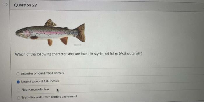 Solved Question 29 Which of the following characteristics | Chegg.com