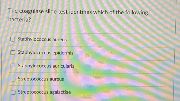 Solved The coagulase slide test identifies which of the | Chegg.com