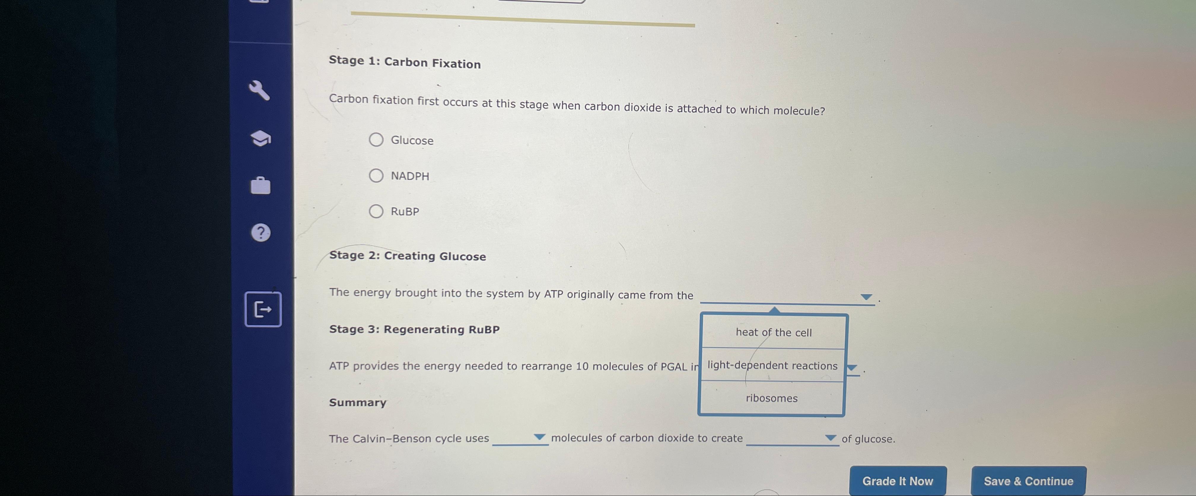 Solved Stage 1: Carbon FixationCarbon fixation first occurs | Chegg.com
