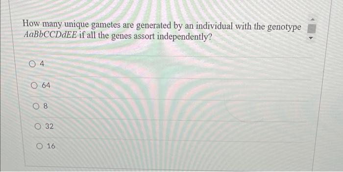 Solved How many unique gametes are generated by an | Chegg.com