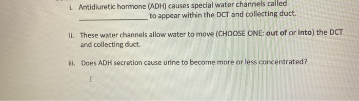 Solved 1. Antidiuretic hormone (ADH) causes special water | Chegg.com