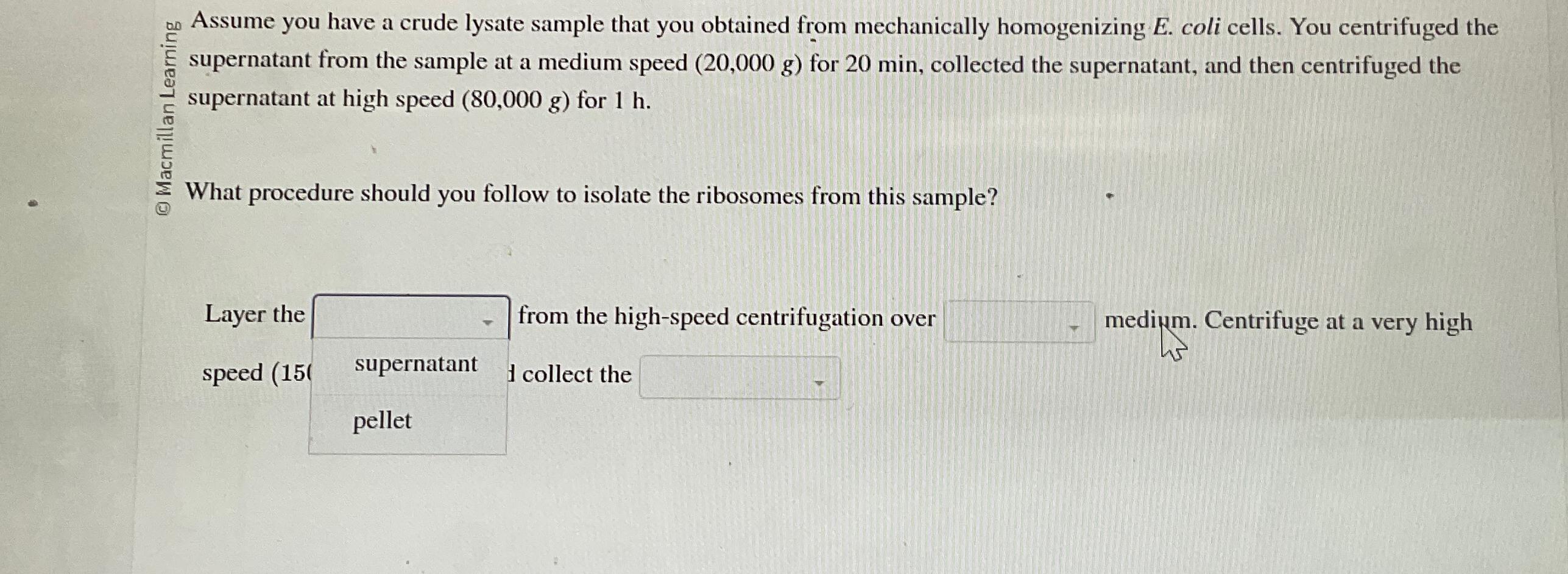 Solved Assume you have a crude lysate sample that you | Chegg.com
