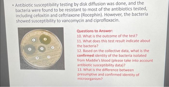 Solved Antibiotic susceptibility testing by disk diffusion | Chegg.com