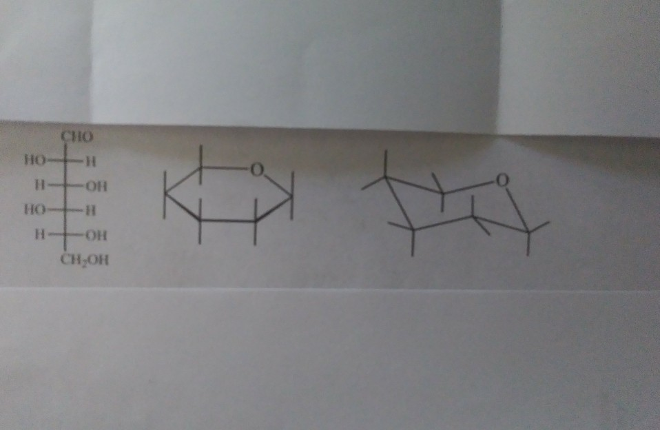 Solved using the fischer projection of the following | Chegg.com