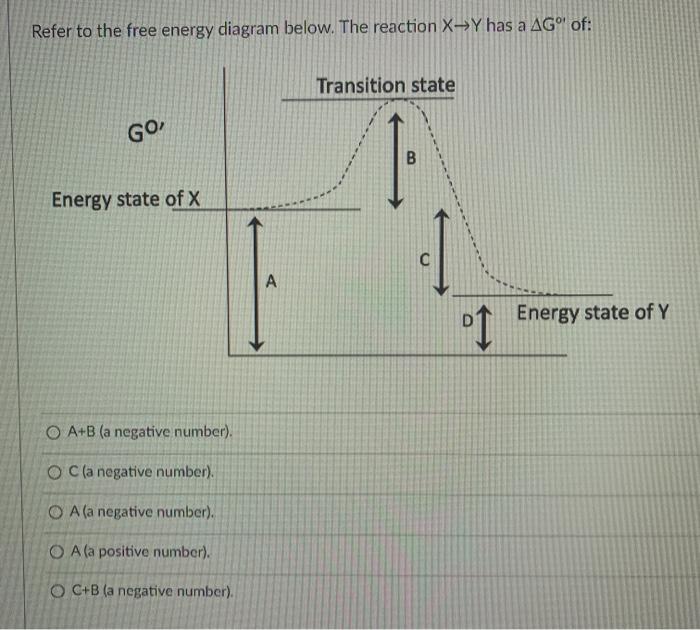 Solved Refer to the free energy diagram below. The reaction | Chegg.com