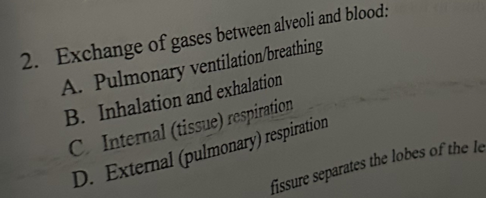 Solved Exchange of gases between alveoli and blood:A. | Chegg.com