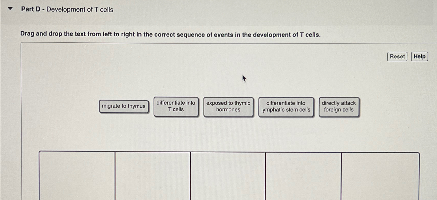 Solved Part D - ﻿Development of T cellsDrag and drop the | Chegg.com