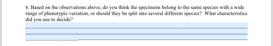Solved Based on the observations above, do you think the | Chegg.com