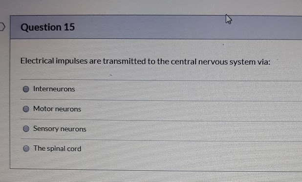 Solved Question 15 Electrical impulses are transmitted to | Chegg.com