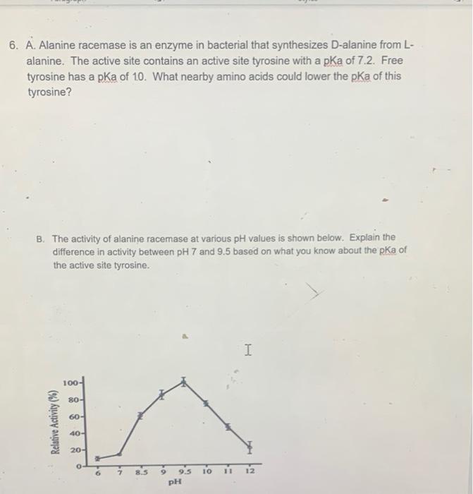 Solved 6. A. Alanine racemase is an enzyme in bacterial that | Chegg.com