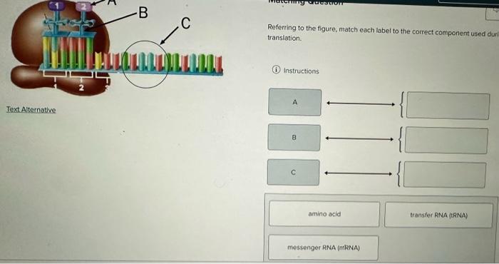 Solved Referring to the figure, match each label to the | Chegg.com