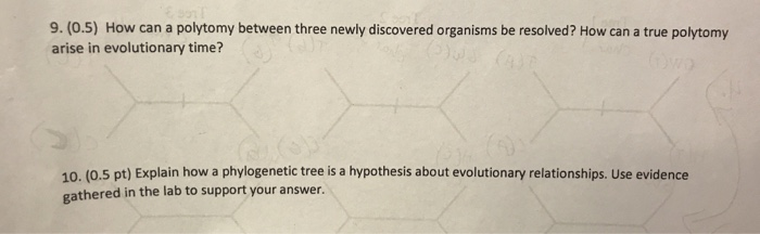 Solved 9. (0.5) How can a polytomy between three newly | Chegg.com