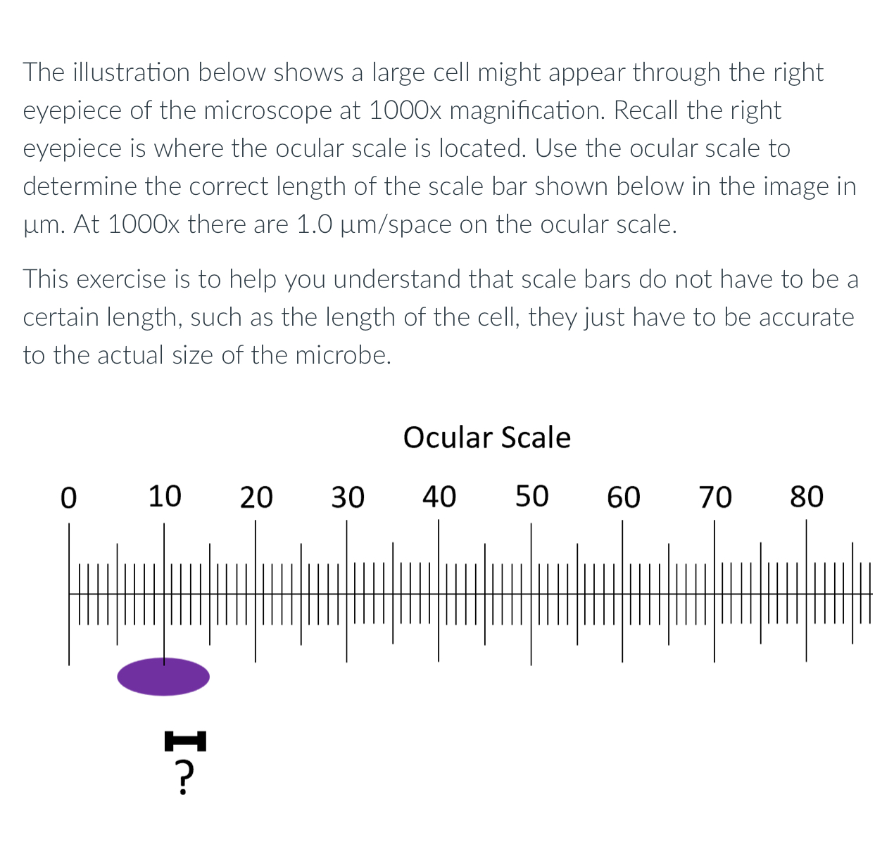 Solved The illustration below shows a large cell might | Chegg.com