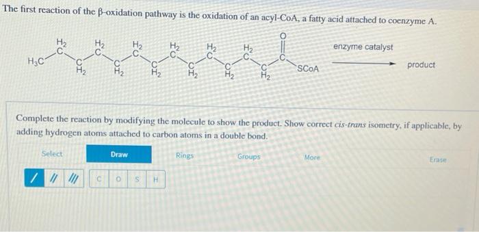 Solved he first reaction of the β-oxidation pathway is the | Chegg.com