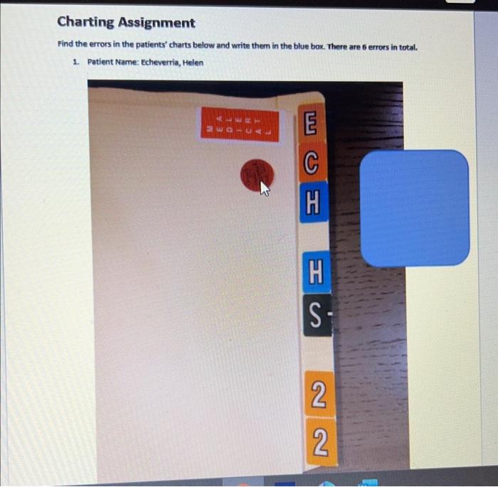Charting Assignment Find the errors in the patients' | Chegg.com