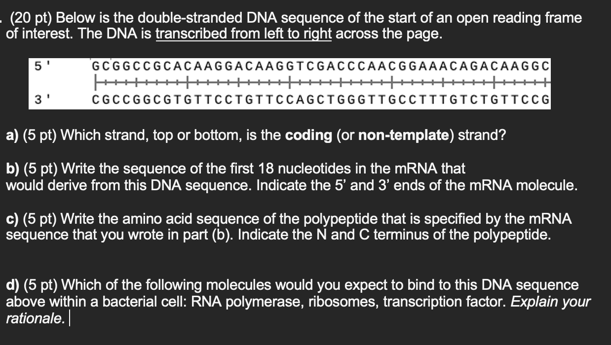 Solved (20 ﻿pt) ﻿Below is the double-stranded DNA sequence | Chegg.com
