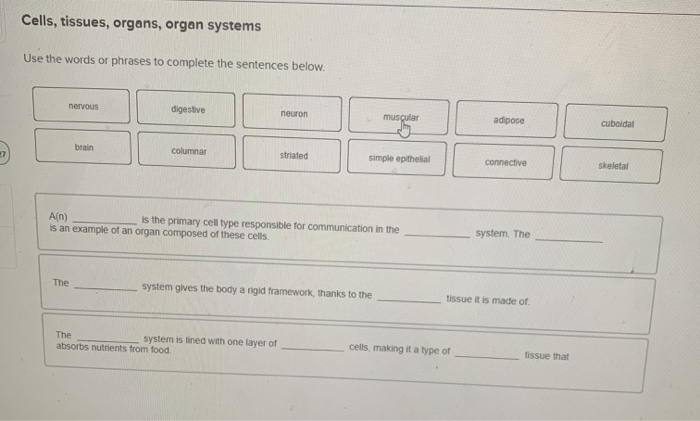 Solved Cells, tissues, organs, organ systems Use the words | Chegg.com