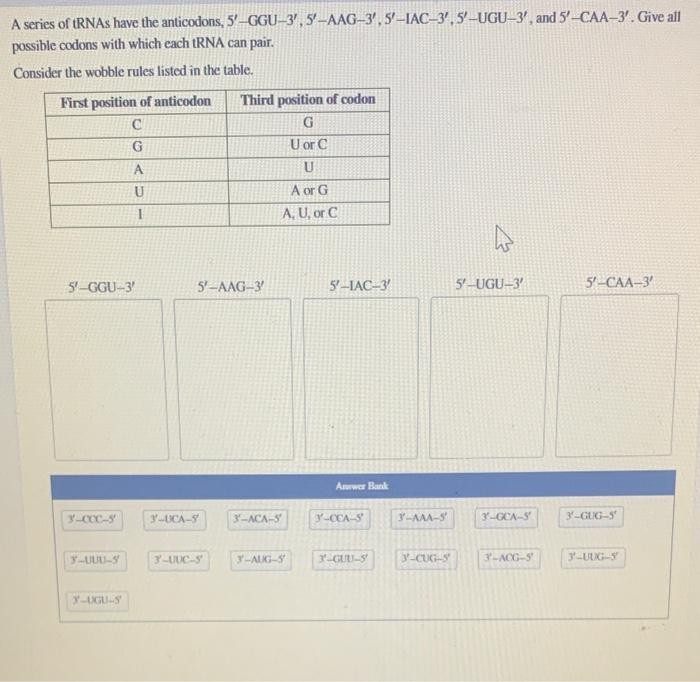 Solved A Series Of Trnas Have The Anticodons