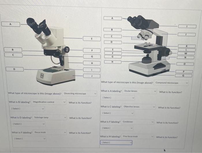 Solved What type of microscope is this (image above)? | Chegg.com