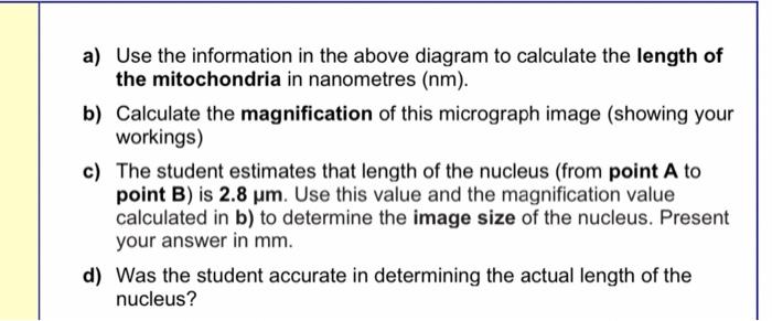 Solved The electron micrograph image below is what the white | Chegg.com