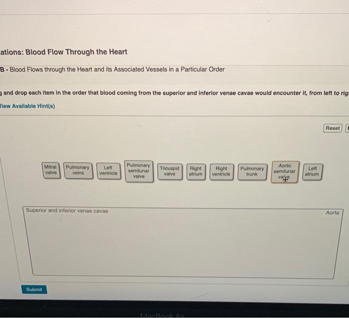 Solved drag and drop each item in the order that blood | Chegg.com