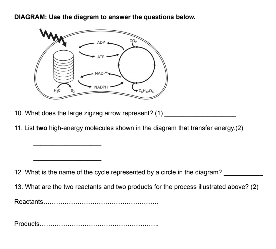 Solved DIAGRAM: Use the diagram to answer the questions | Chegg.com