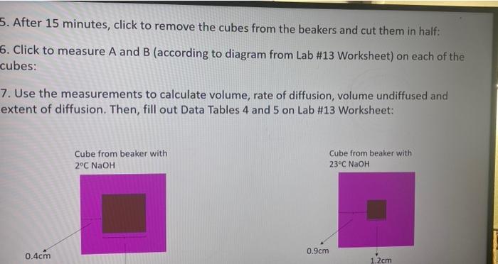 Experiment 1-Cell Size and Diffusion • The question | Chegg.com