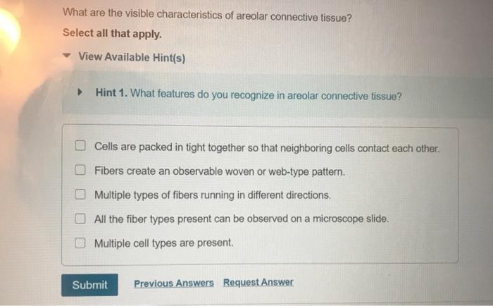Solved What are the visible characteristics of areolar | Chegg.com
