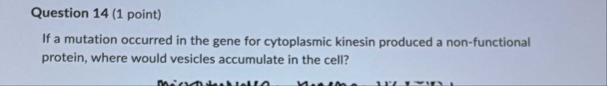 Solved Question 14 (1 ﻿point)If a mutation occurred in the | Chegg.com