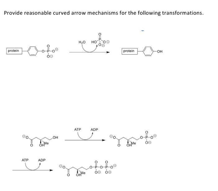 Solved Provide reasonable curved arrow mechanisms for the | Chegg.com